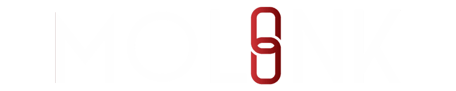 Molink Tecnologia | Desarrollo Web y Movil